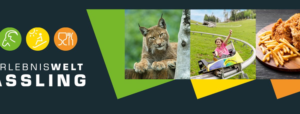 Wildpark Assling | Freizeit Tirol