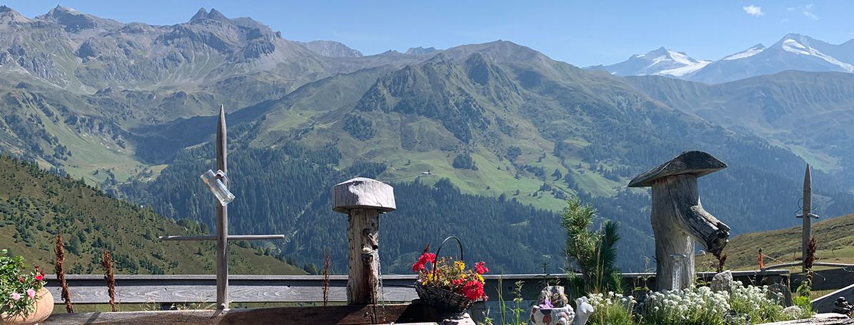 Mountainbiketour: Rundtour Pfoner Ochsenalm-Seapnalm | Freizeit Tirol